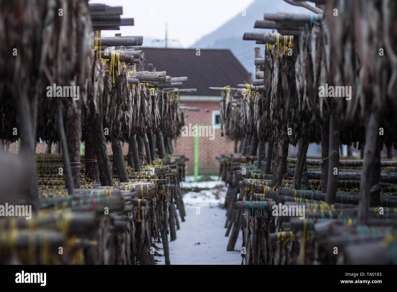 Wooden struture hi-res stock photography and images - Alamy