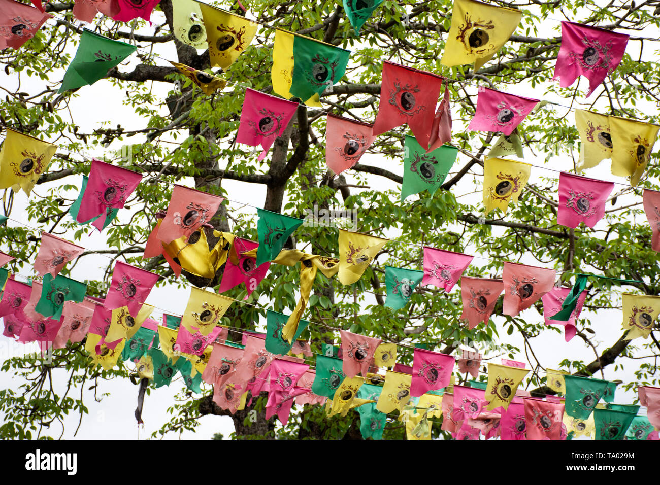 Prayer flags or Yin Yang flag for blessing chinese style of Tiantan ...