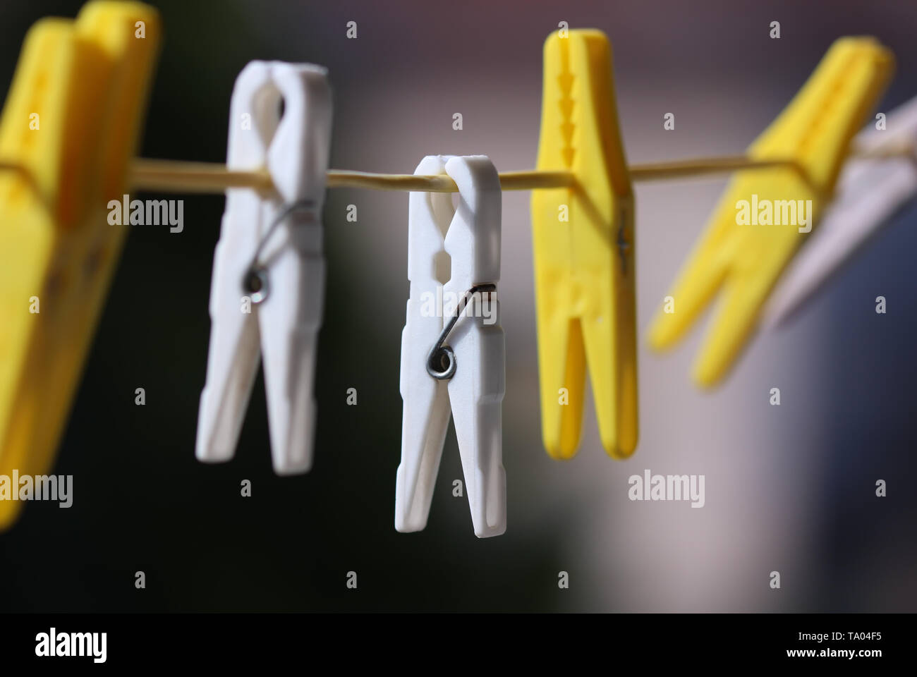 Clothes peg on a line Stock Photo - Alamy