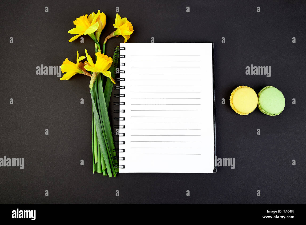 Top view flat lay empty notebook with spring flowers narcissus and ...