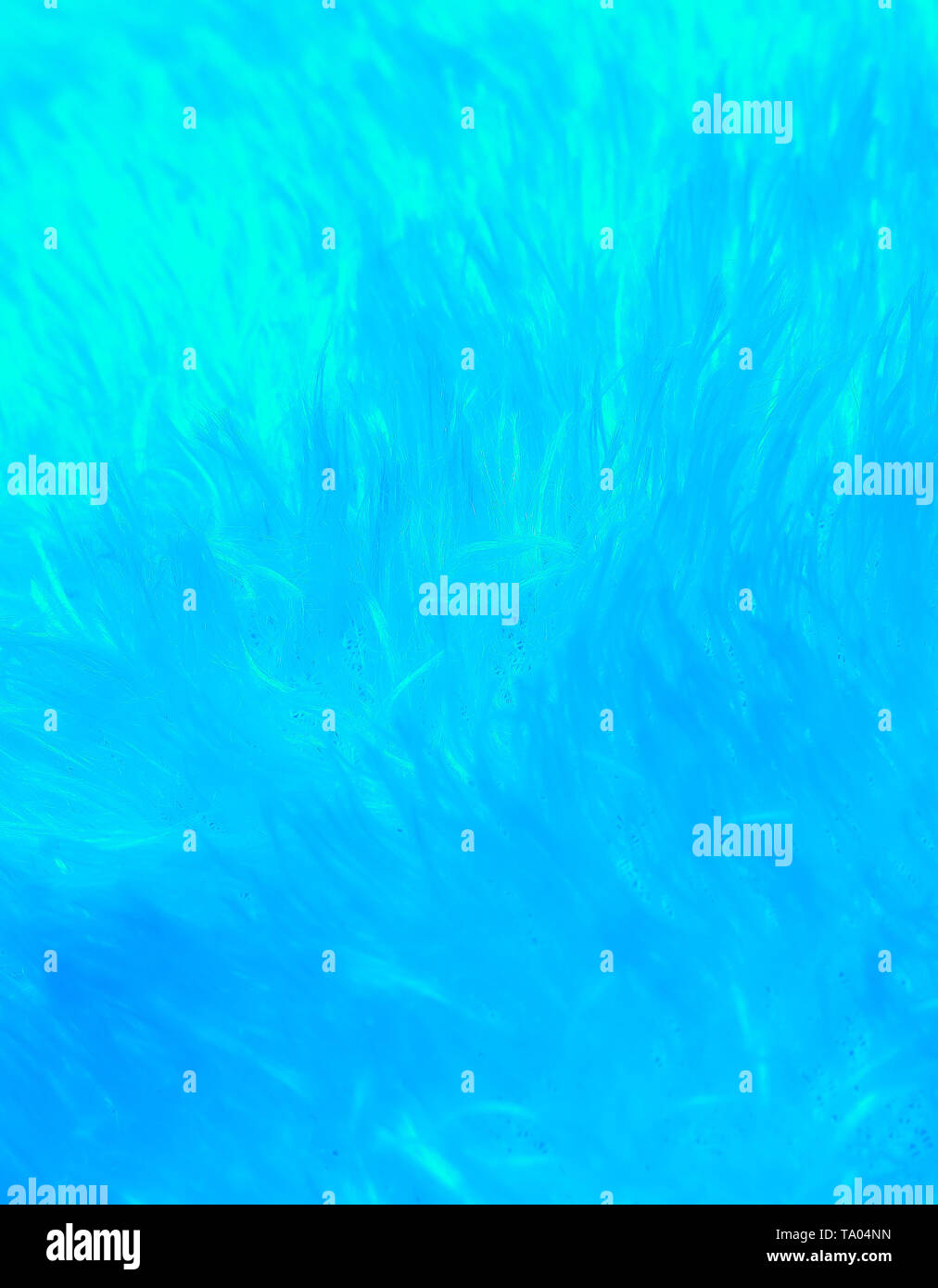 Texture of fluffy blue neon fabric in neon pastel colors. macro Stock ...