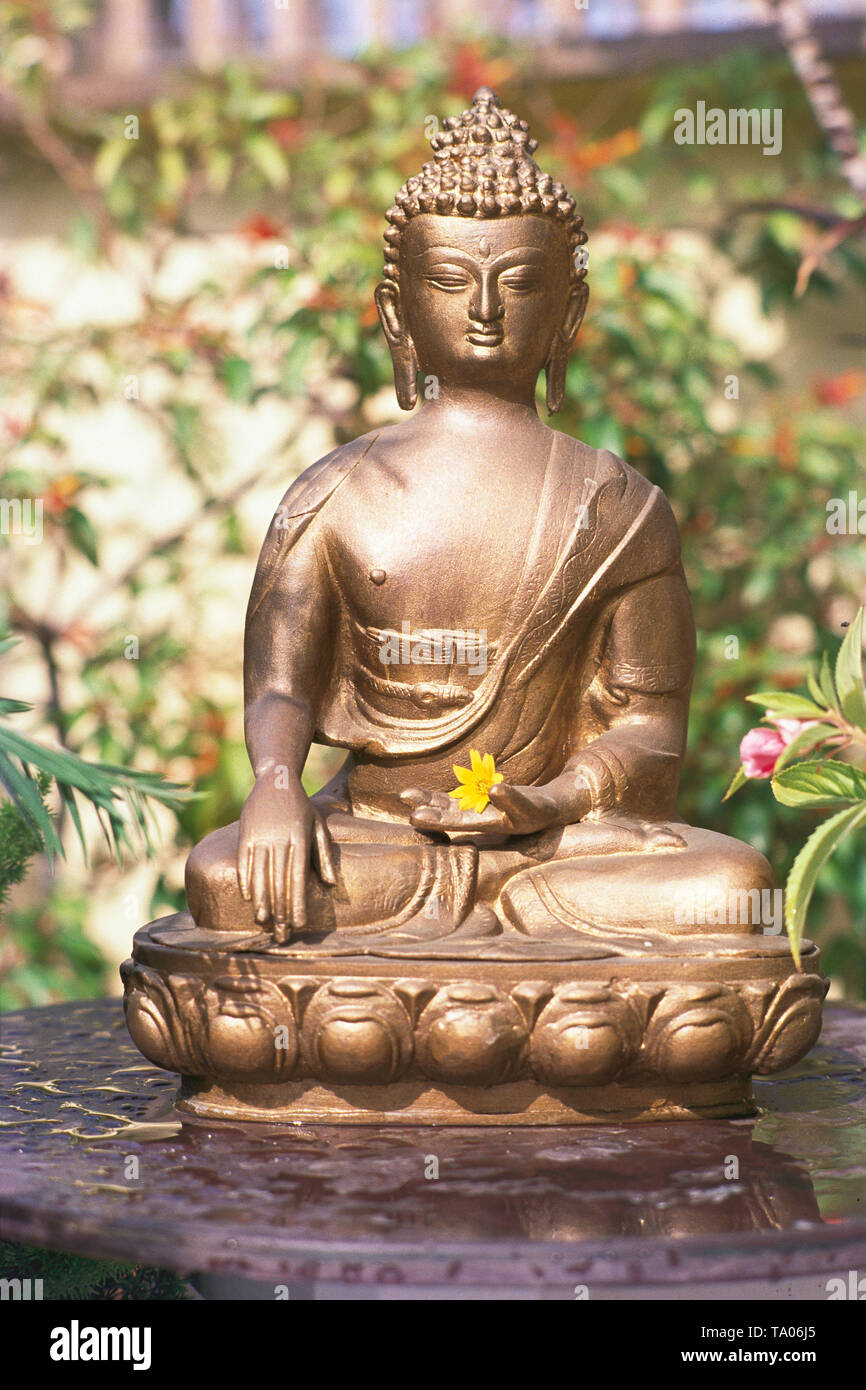 STILL LIFE OF A BUDDHA STATUE Stock Photo - Alamy