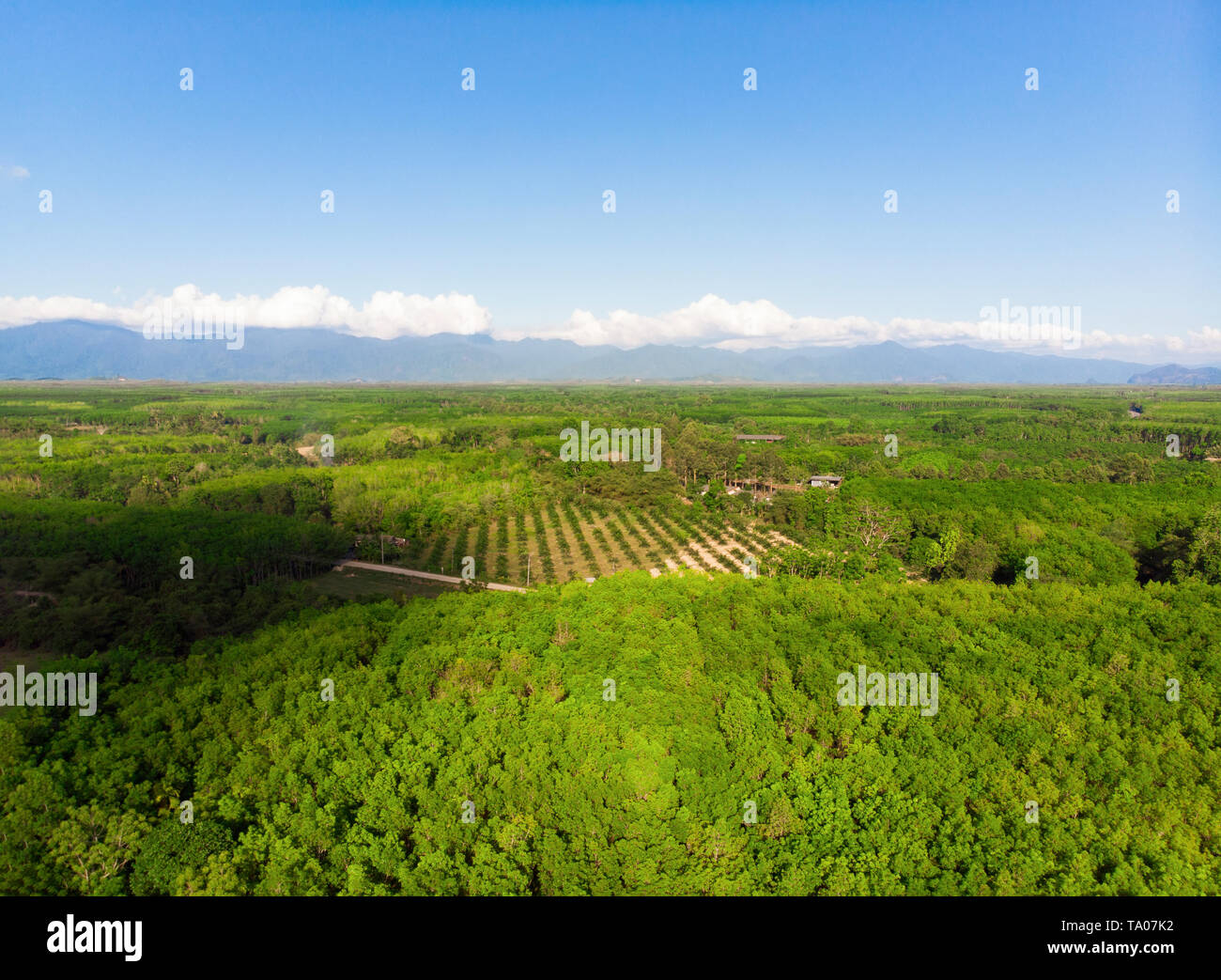Aerial view above greenery background. Beautiful landscape scenic in ...
