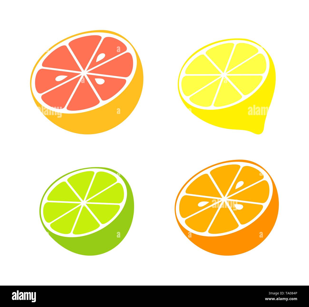 Citrus fruit collection. Vector illustration Stock Vector Image & Art ...