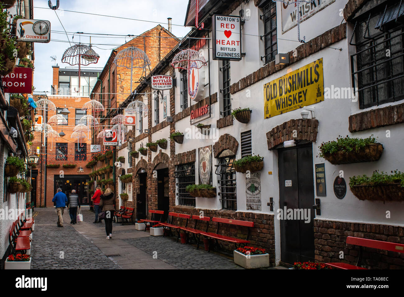 Duke of York Belfast Stock Photo - Alamy