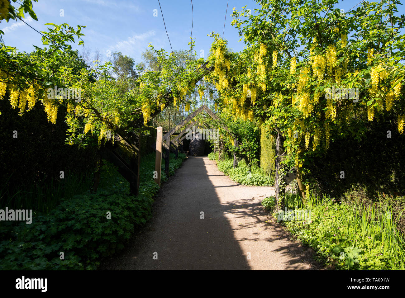 Gardens at Rufford Abbey in Nottinghamshire, England UK Stock Photo - Alamy