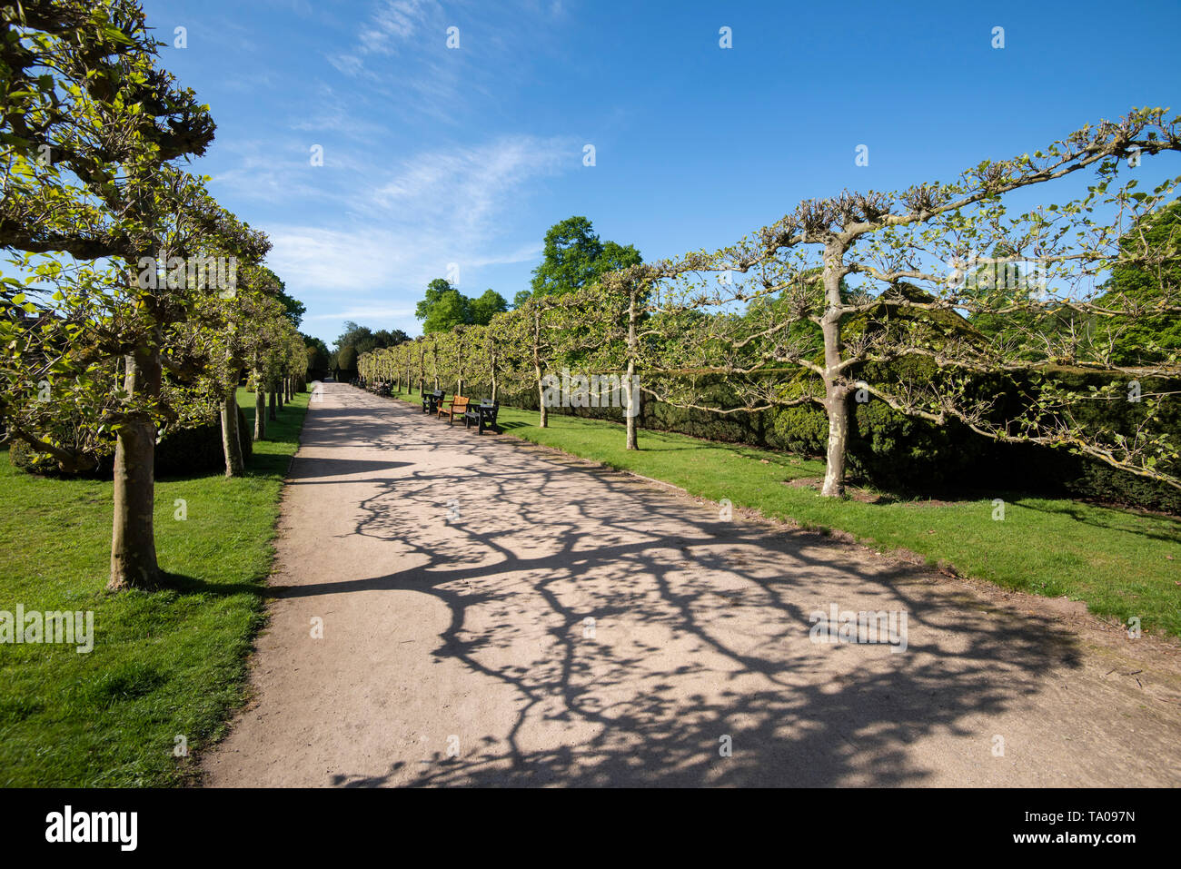 Rufford country estate hi-res stock photography and images - Alamy
