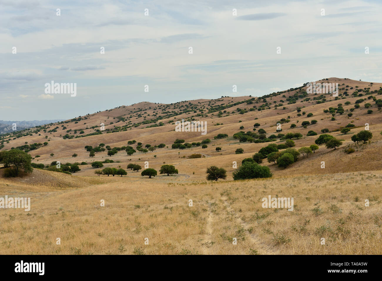 Vashlovani National Park the driest deserts in Georgia. Panoramic view ...
