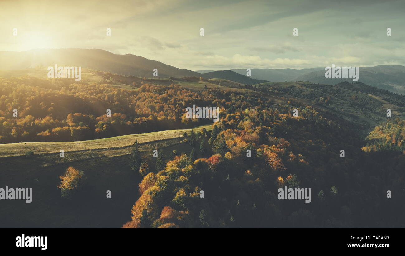 Sunset Forest Hill Surface Aerial View Landscape. Panoramic Mountain ...