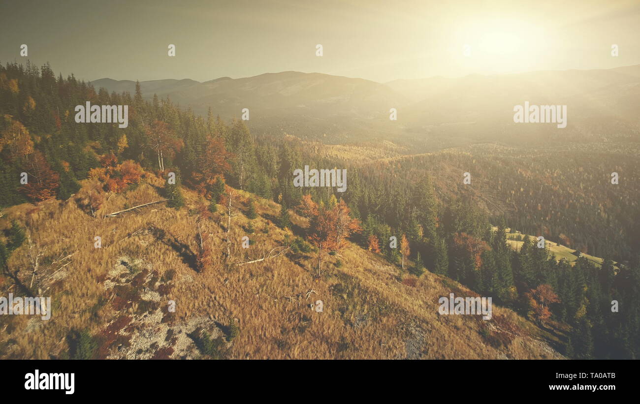 Highland Deforestation Soft Sun Beam Aerial View. Wildlife Mountain ...