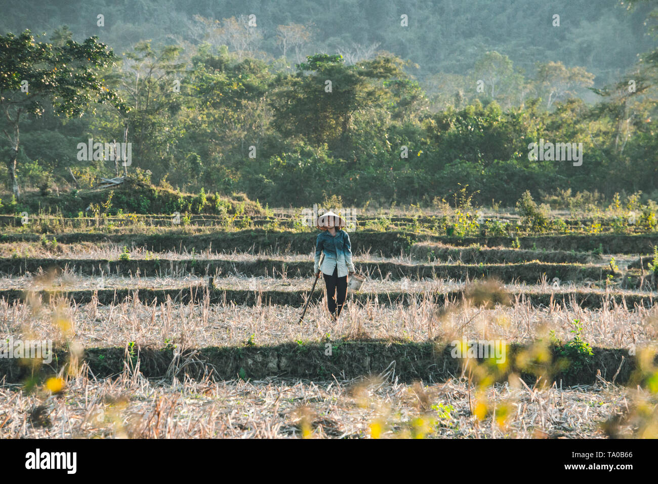 Agricultural Activities High Resolution Stock Photography and Images ...