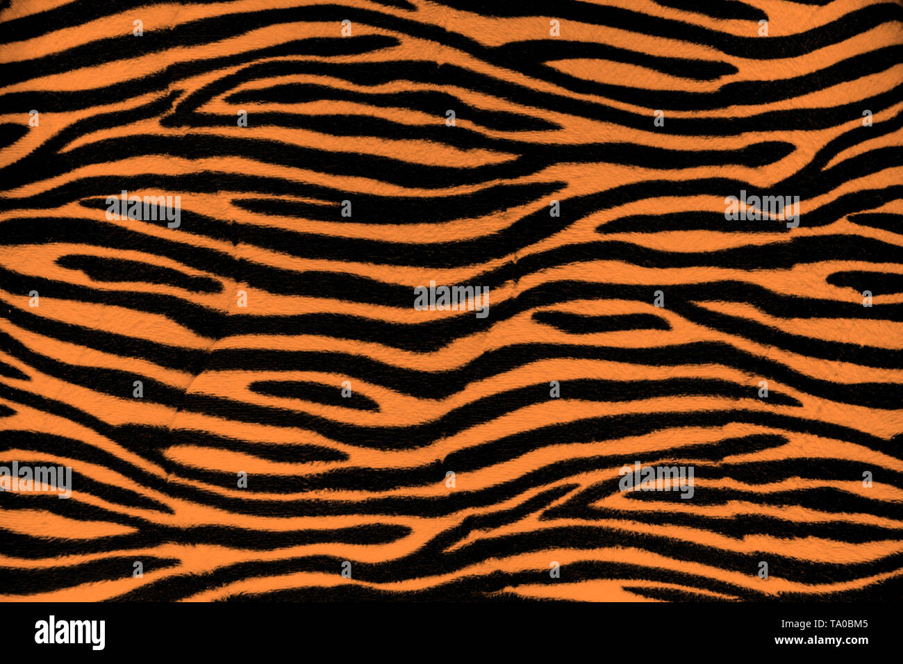 Tiger fur background texture close up view Stock Photo - Alamy