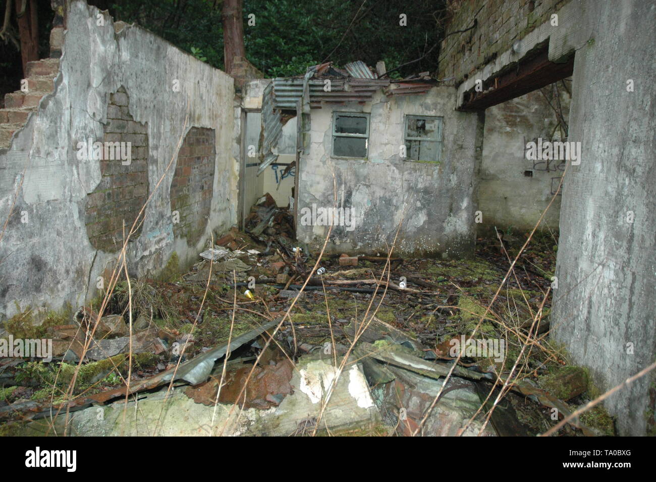 Dull house hi-res stock photography and images - Alamy