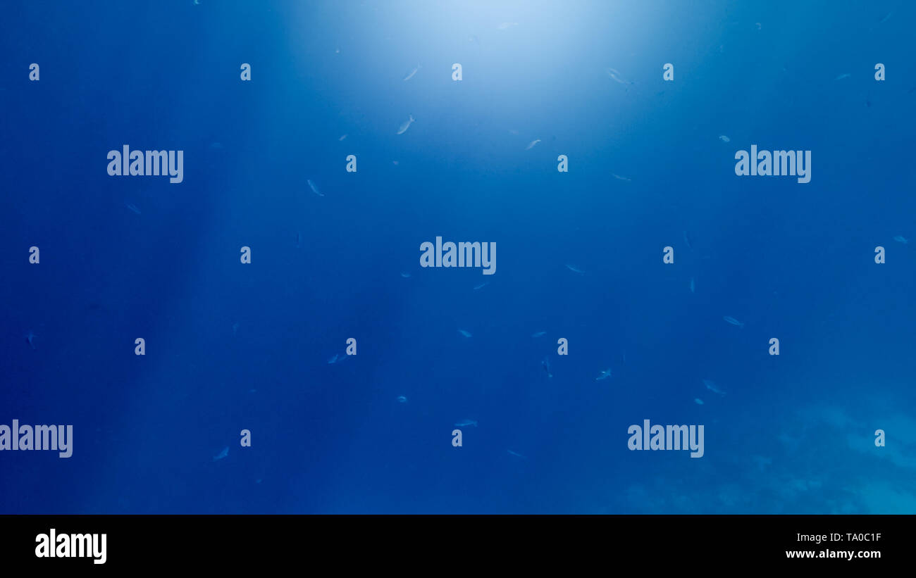 Beautiful seascape of sun light rays shining throught the water surface ...