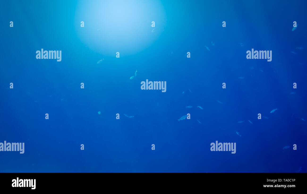 Amazing underwater image of sun and light rays shining through deep ...