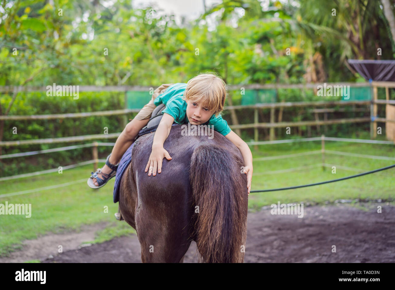 Boy horseback riding, performing exercises on horseback Stock Photo - Alamy