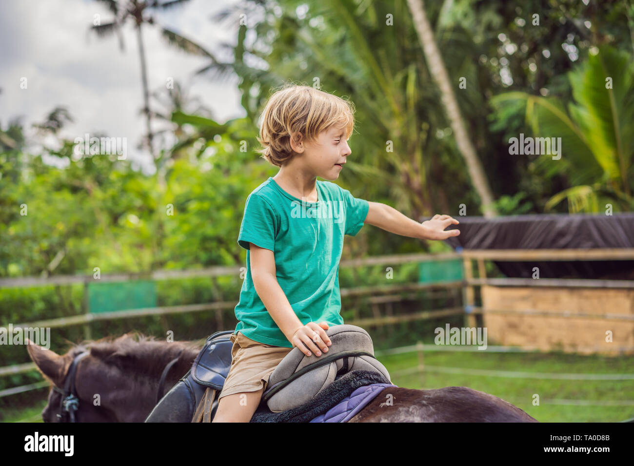 Boy horseback riding, performing exercises on horseback Stock Photo - Alamy