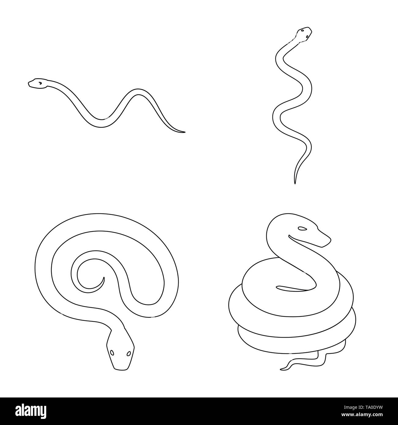 snake,viper,tail,coral,python,leather,green,white,creeping,forest ...