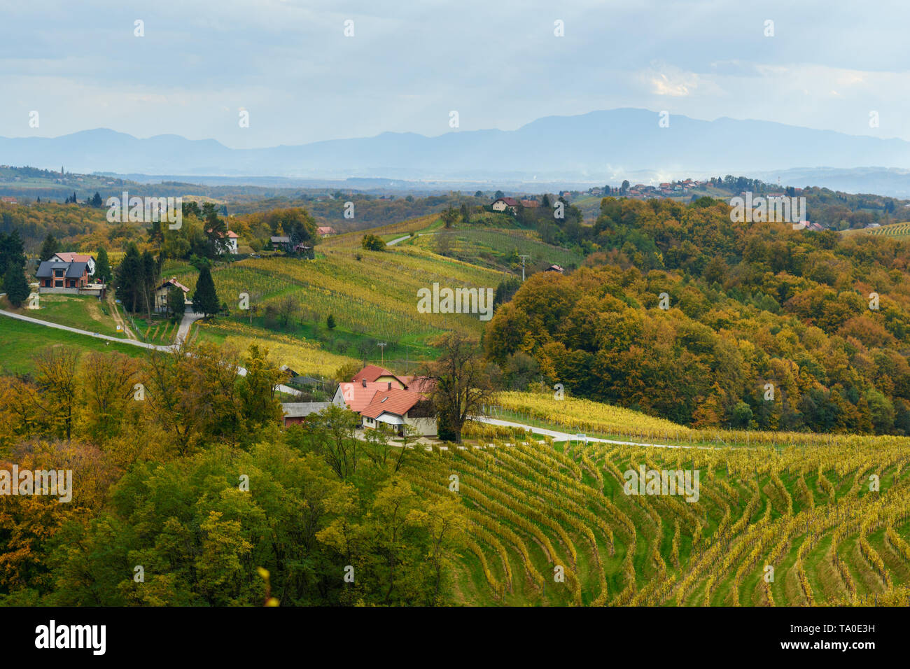 Ljutomer hi-res stock photography and images - Alamy
