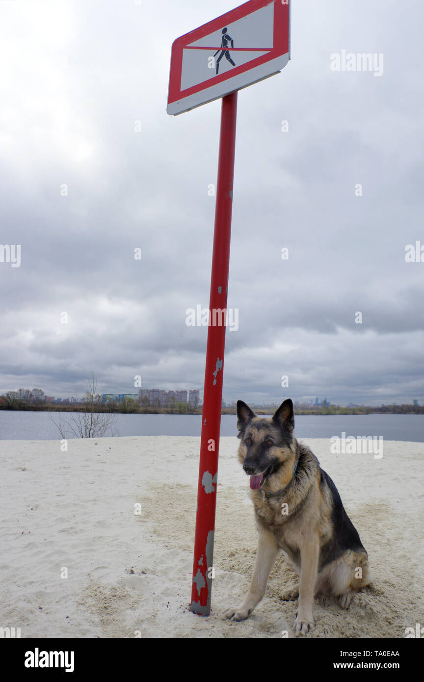 Dog warning sign vertical hi-res stock photography and images - Alamy