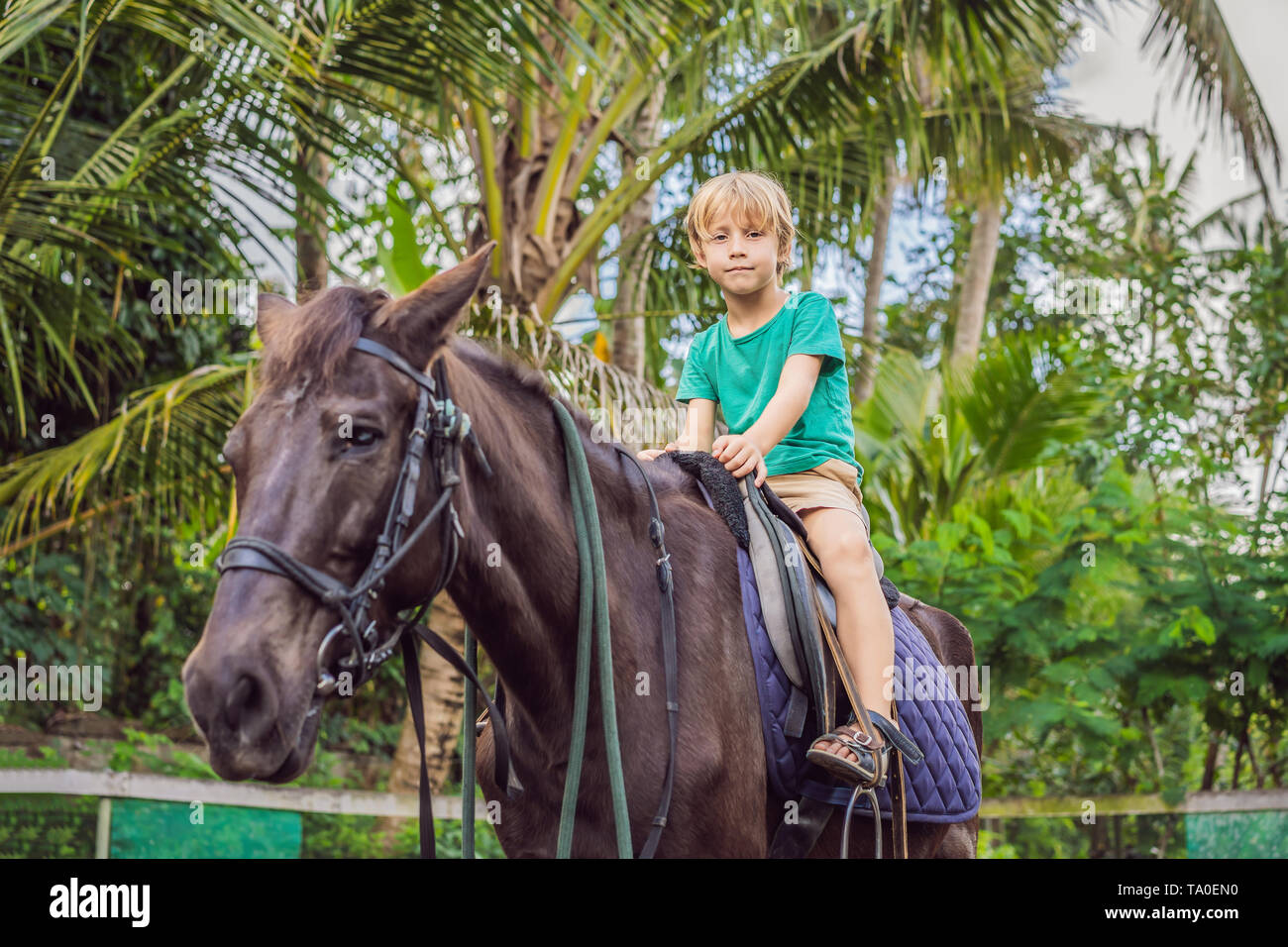 Boy horseback riding, performing exercises on horseback Stock Photo - Alamy