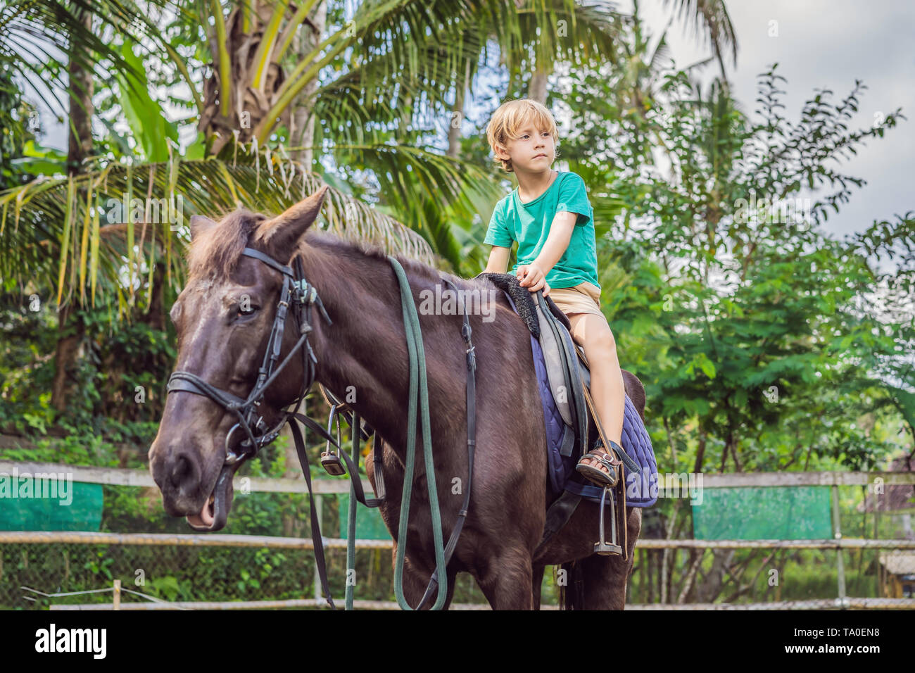 Boy horseback riding, performing exercises on horseback Stock Photo - Alamy