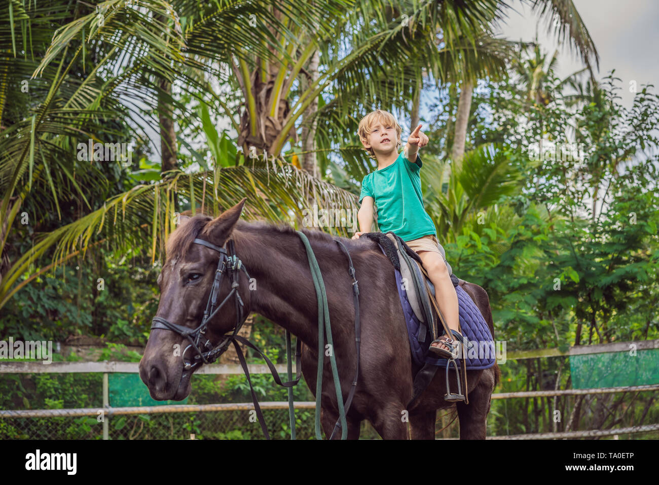 Boy riding bareback on horse High Resolution Stock Photography and ...