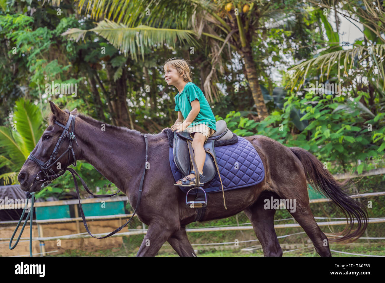 Boy riding bareback on horse hi-res stock photography and images - Alamy