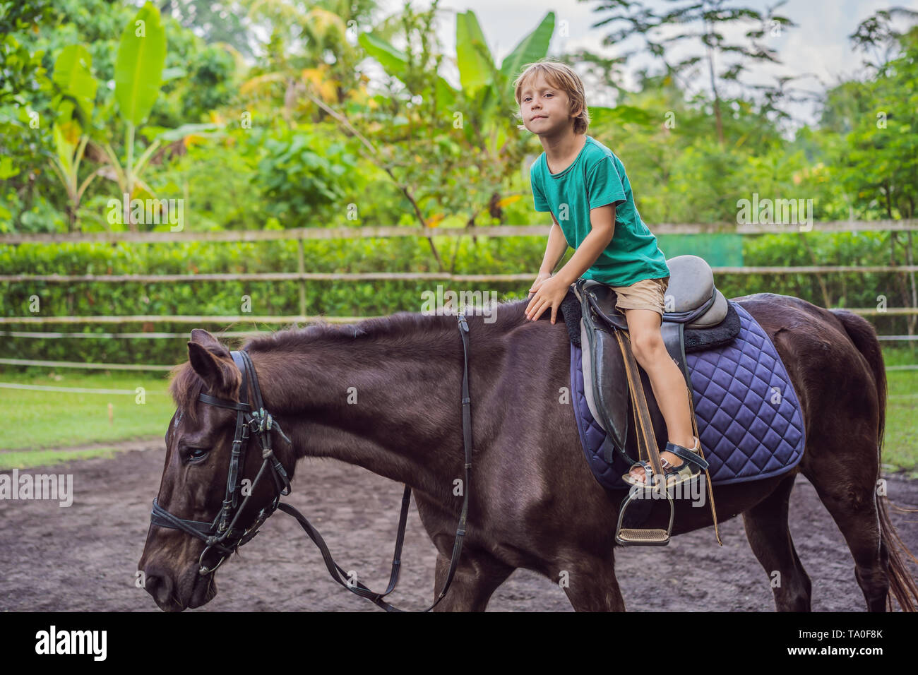 Boy riding bareback on horse hi-res stock photography and images - Alamy