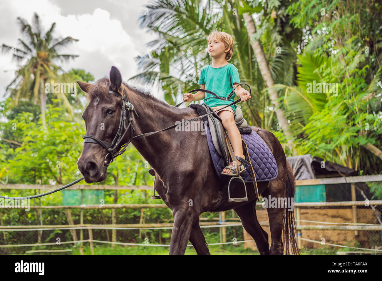 Boy riding bareback on horse High Resolution Stock Photography and ...