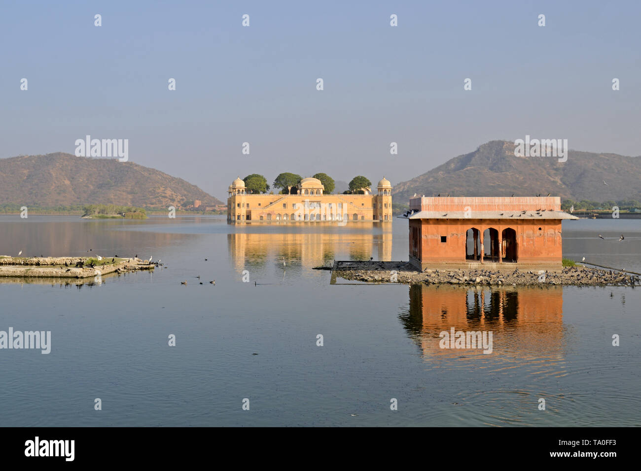 Jal Mahal reflecting in a lake, Jaipur, Rajasthan, India Stock Photo ...