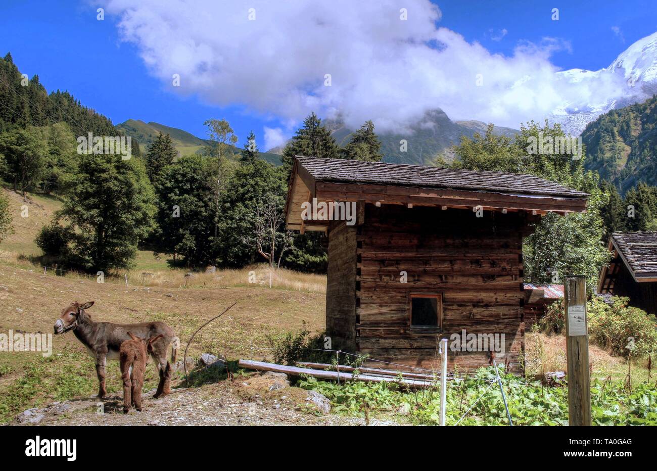 French rural landscape in mountain area with dramatic skies Stock Photo ...