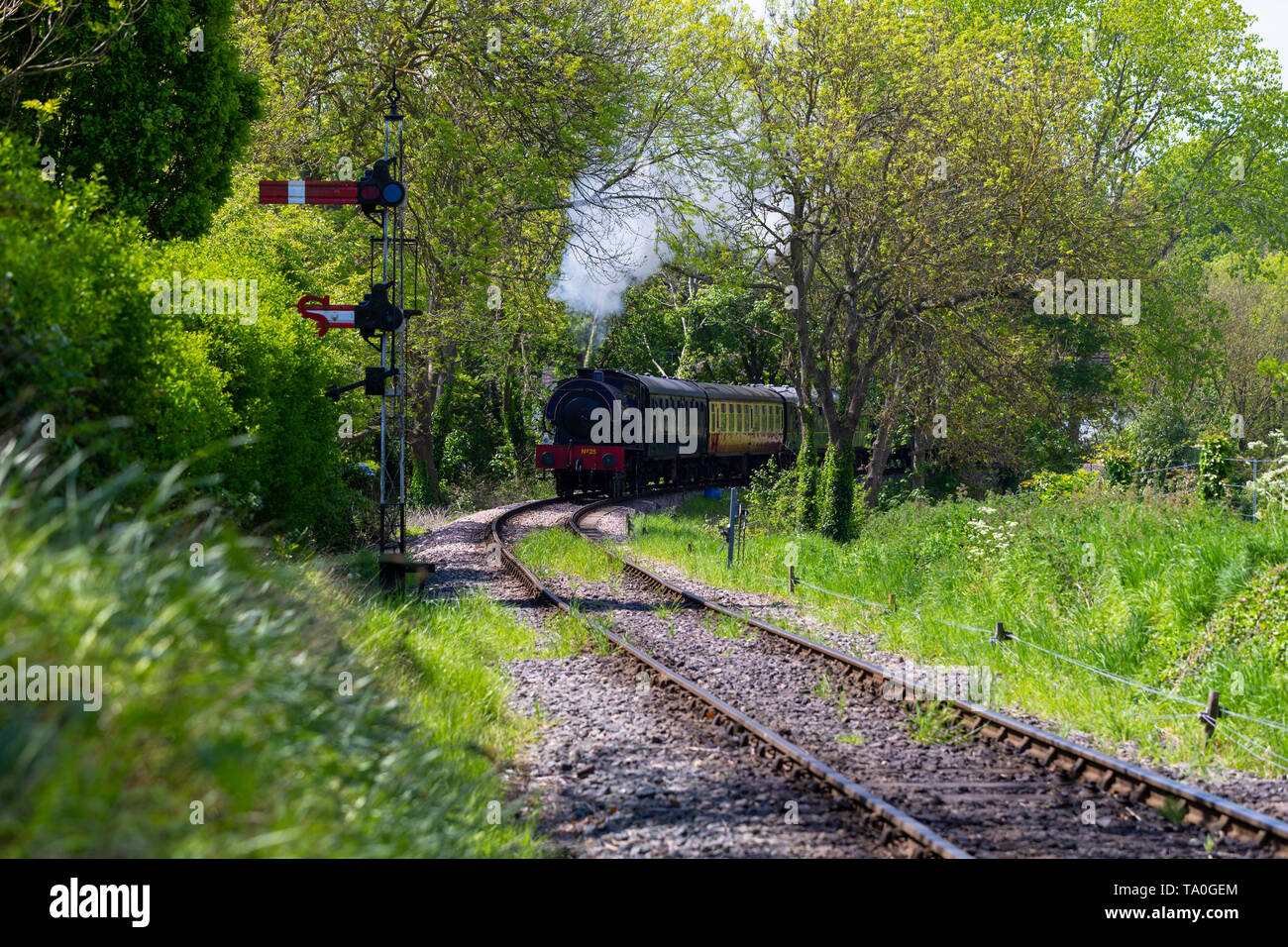 Kent and East Sussex Railway steam train, KESR, tenterden, kent, uk ...