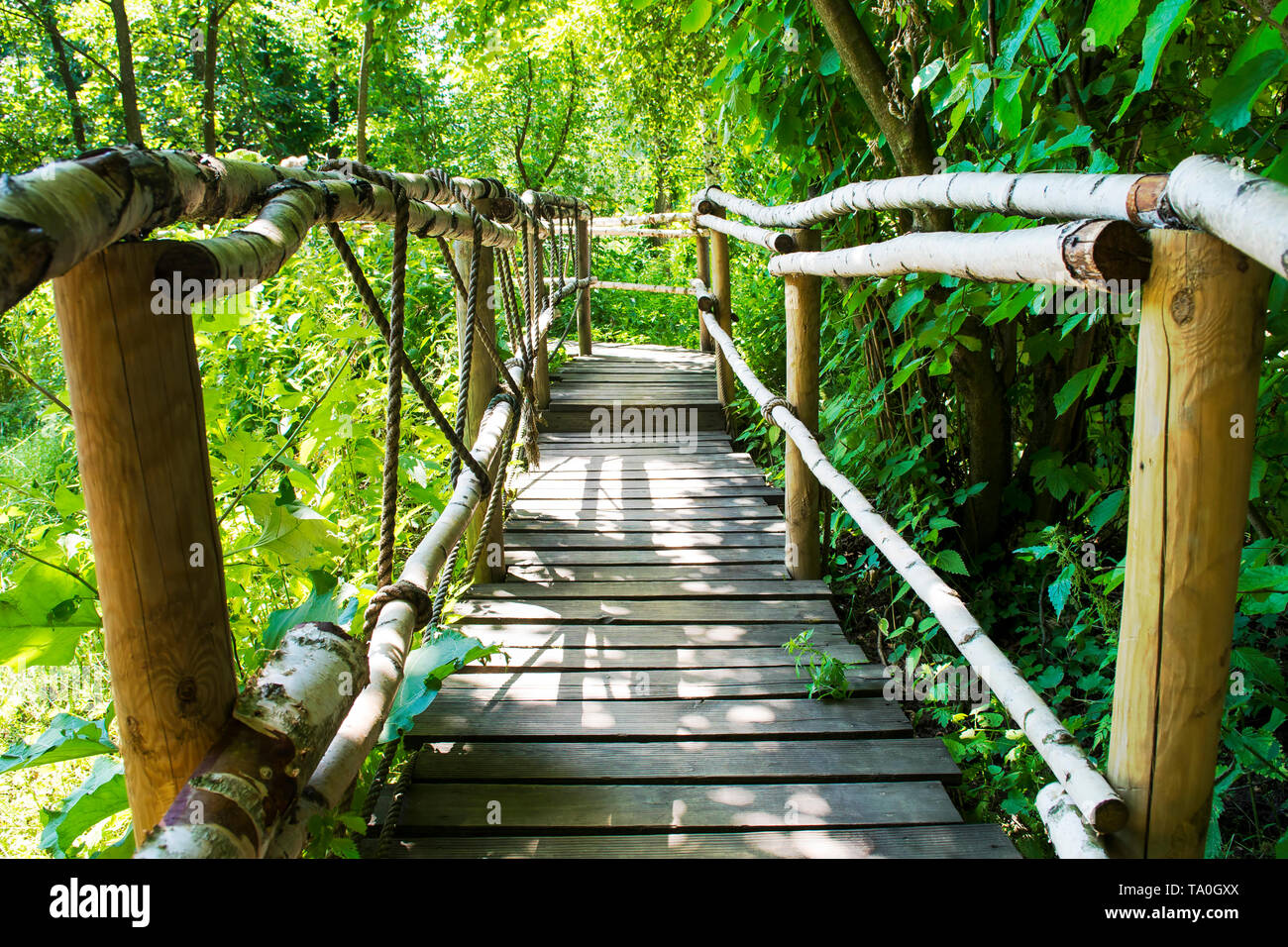 Rope bridge jungle hi-res stock photography and images - Alamy