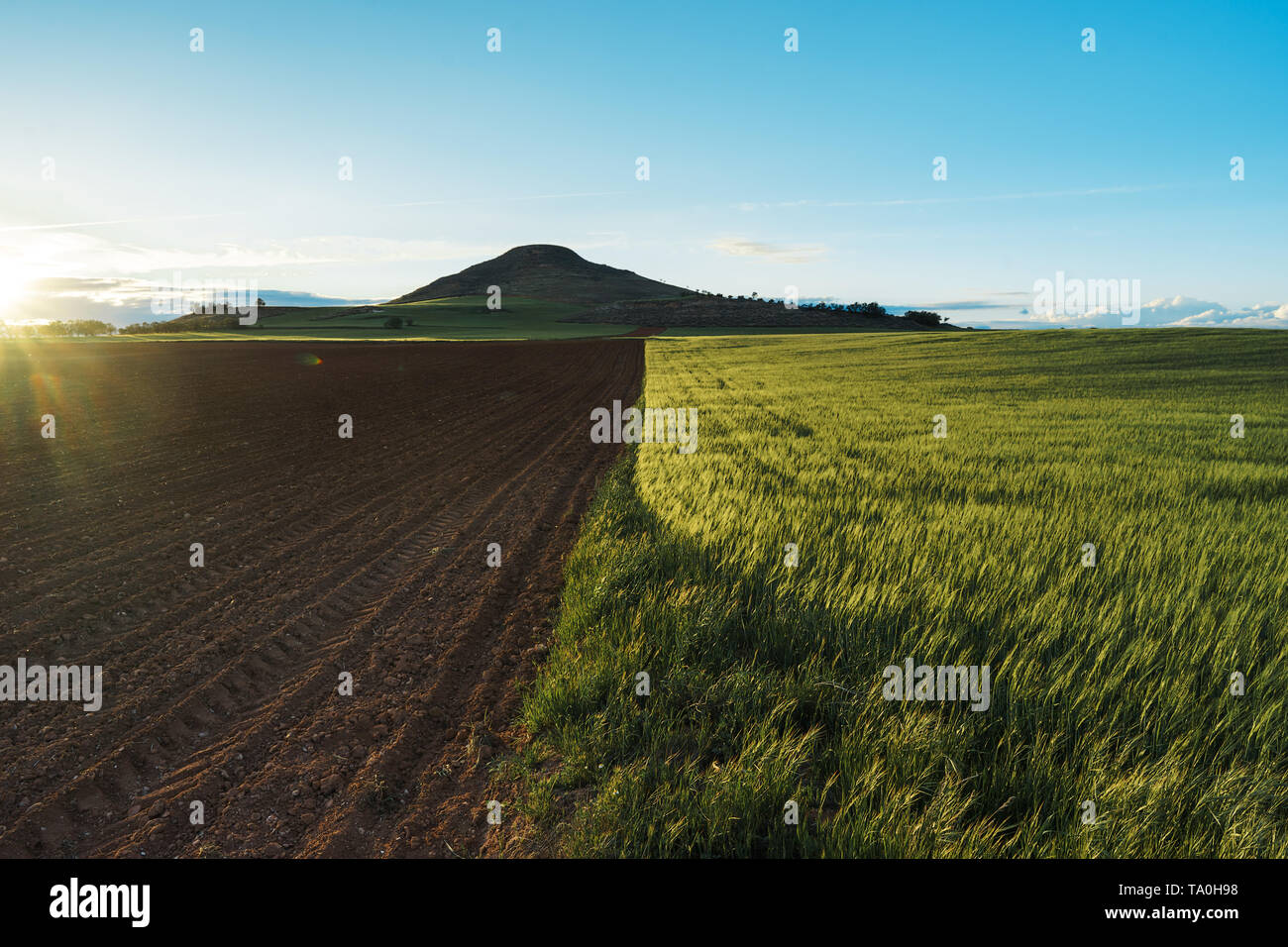 Spanish landscape with blue sky, green mug and fresh black soil Stock ...