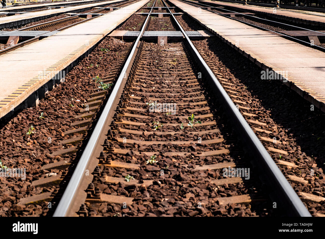 Close up top rails hi-res stock photography and images - Alamy