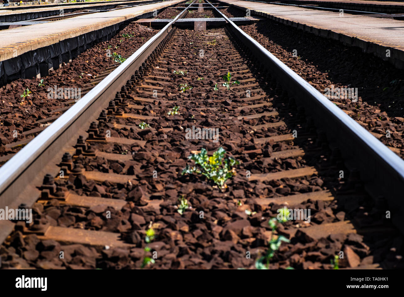 See railway cross tie hi-res stock photography and images - Alamy