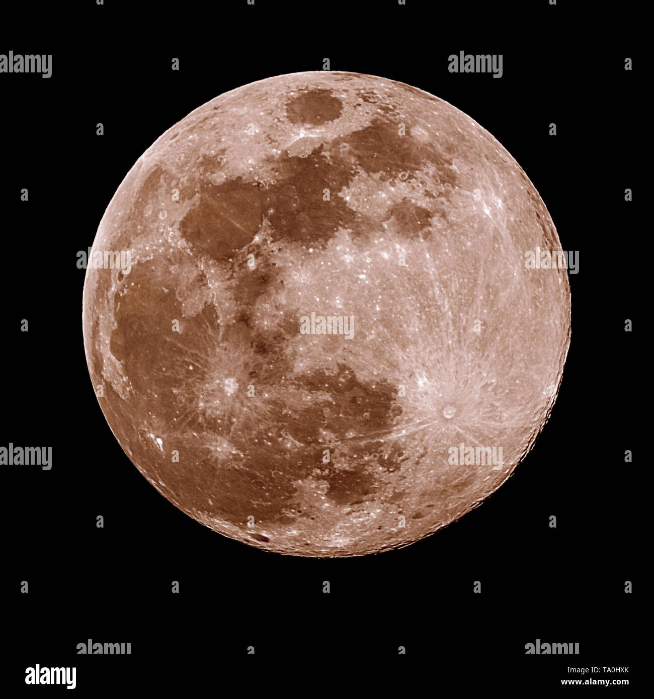 High detail surface hi-res stock photography and images - Alamy