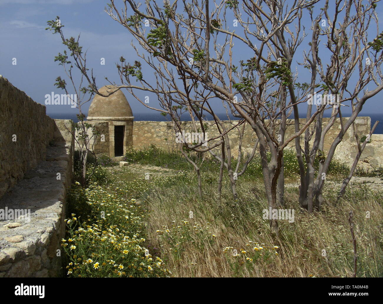 Everyday life at the island Crete in Greece in the summer Stock Photo ...