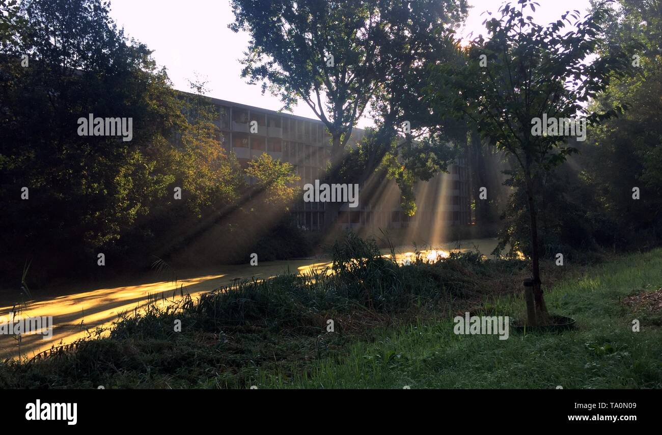 Various colors in a dutch landscape on a clear day Stock Photo - Alamy