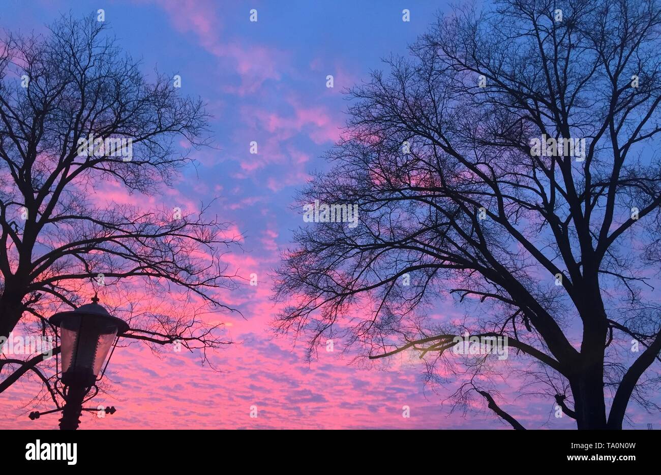 An edited version of a snapshot of life on earth Stock Photo - Alamy