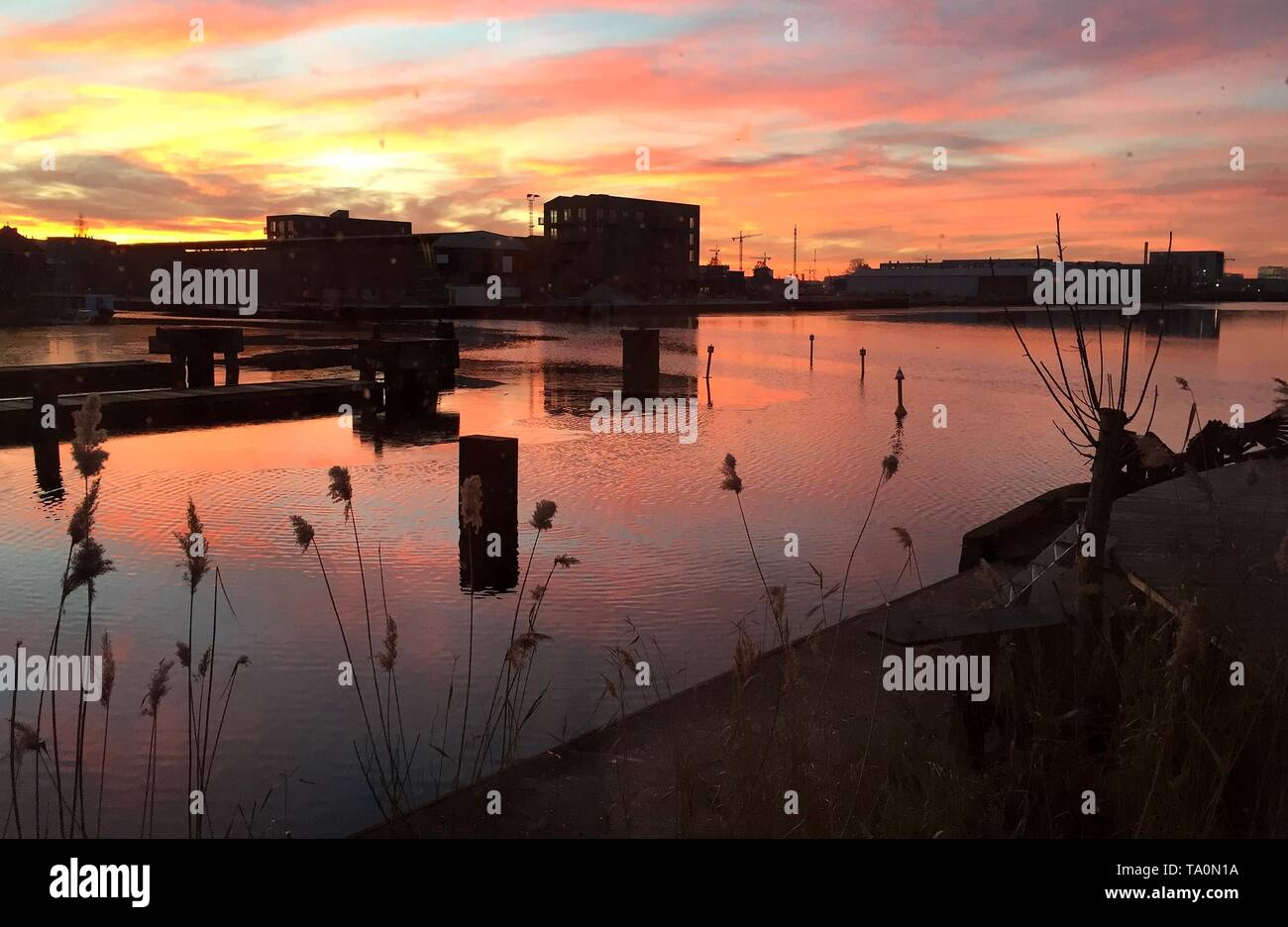 An edited version of a snapshot of life on earth Stock Photo - Alamy