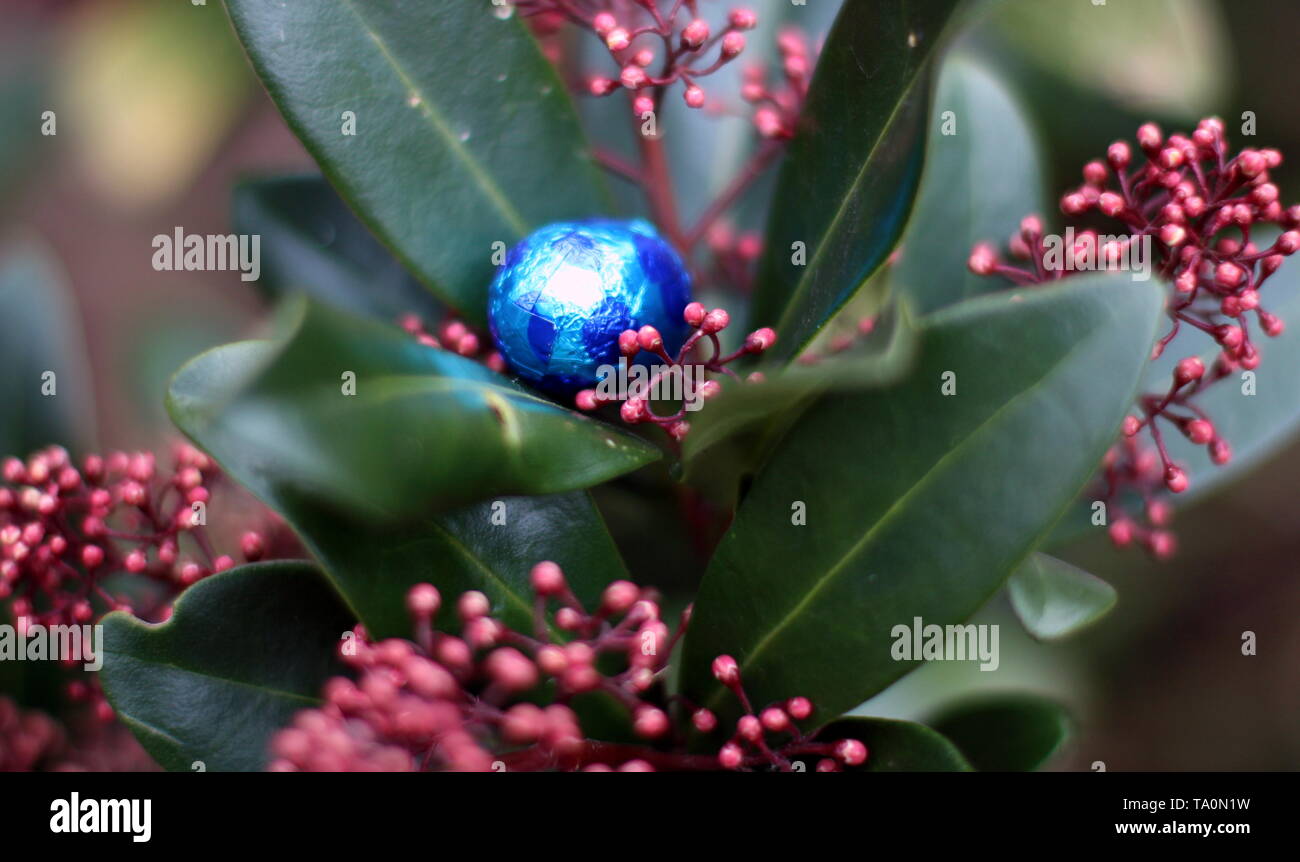 An edited version of a snapshot of life on earth Stock Photo - Alamy