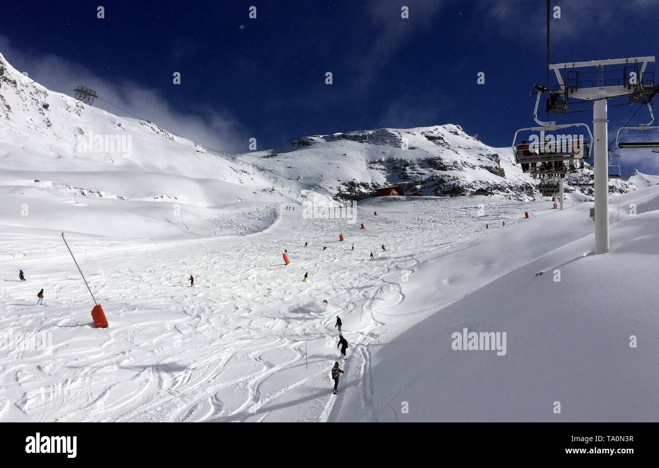 An edited version of a snapshot of life on earth Stock Photo - Alamy