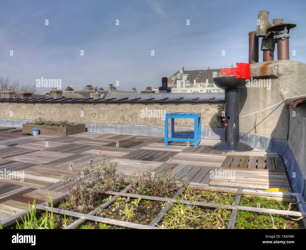 An edited version of a snapshot of life on earth Stock Photo - Alamy