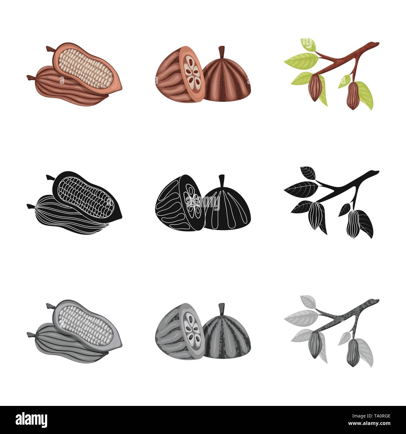 seed,tree,chocolate,fetus,farm,fresh,plantation,aroma,growth,powder ...