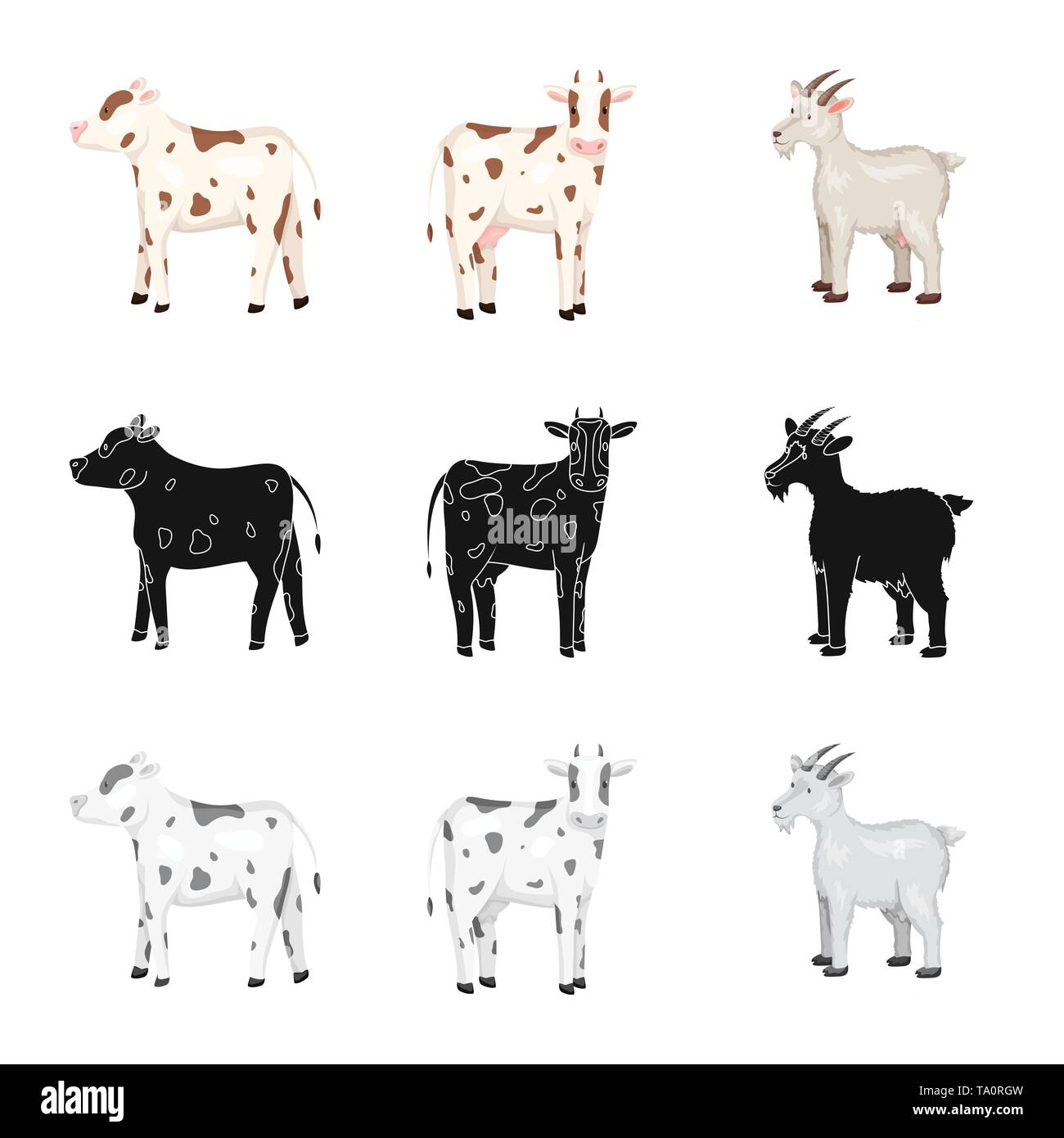 cow,goat,heifer,calf,pet,cheese,animal,milk,cattle,dairy,beef,meat,wool ...