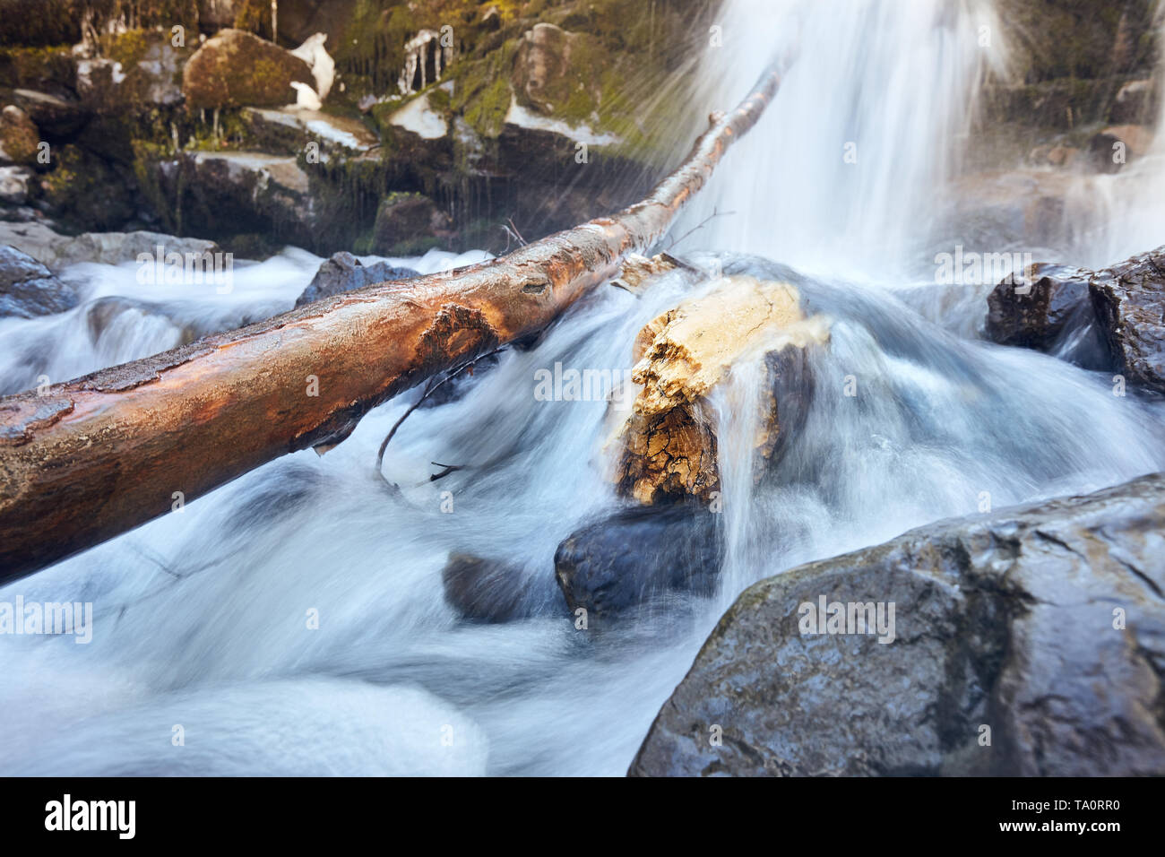 atmospheric stones and tree branch under small cascading waterfall ...