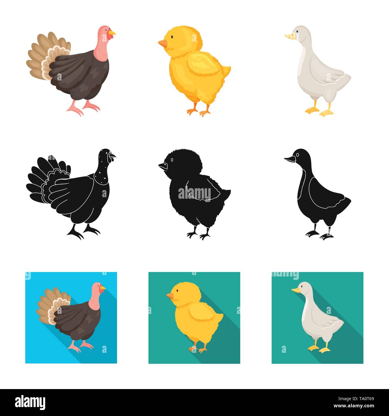 Vector design of breeding and kitchen sign. Set of breeding and organic ...
