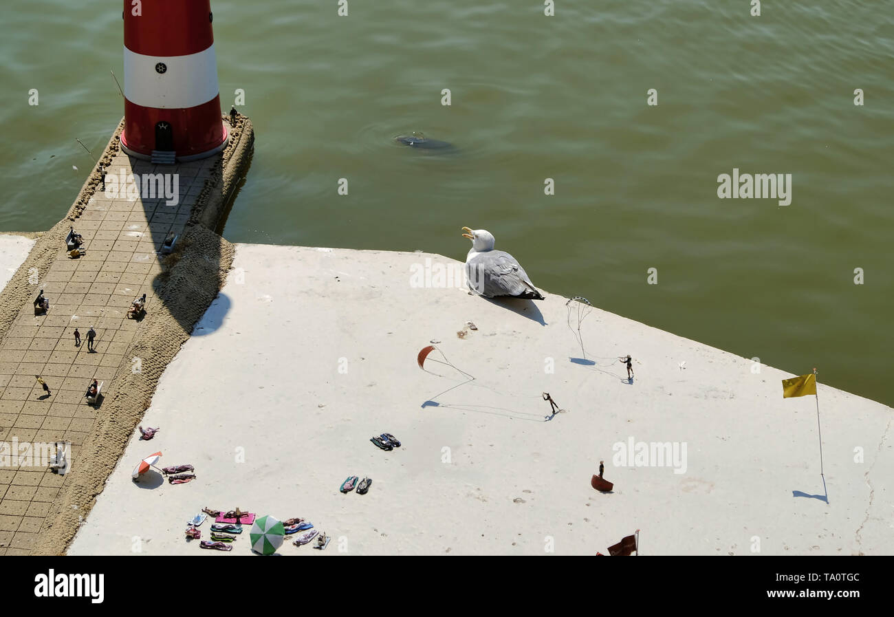 Huge seagull on miniature beach with lighthouse in the netherlands ...